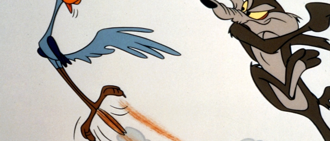 Tavşan Kaç! Puma Tut!